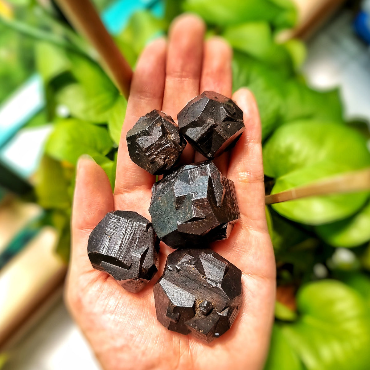 Iron Cross (Goethite after Pyrite Twin) - RARE! – Sanctum of the Soul