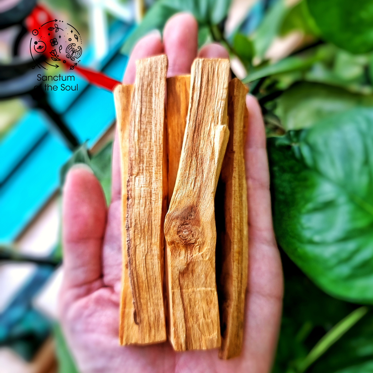 Palo Santo Bundle (High Grade) – Sanctum of the Soul